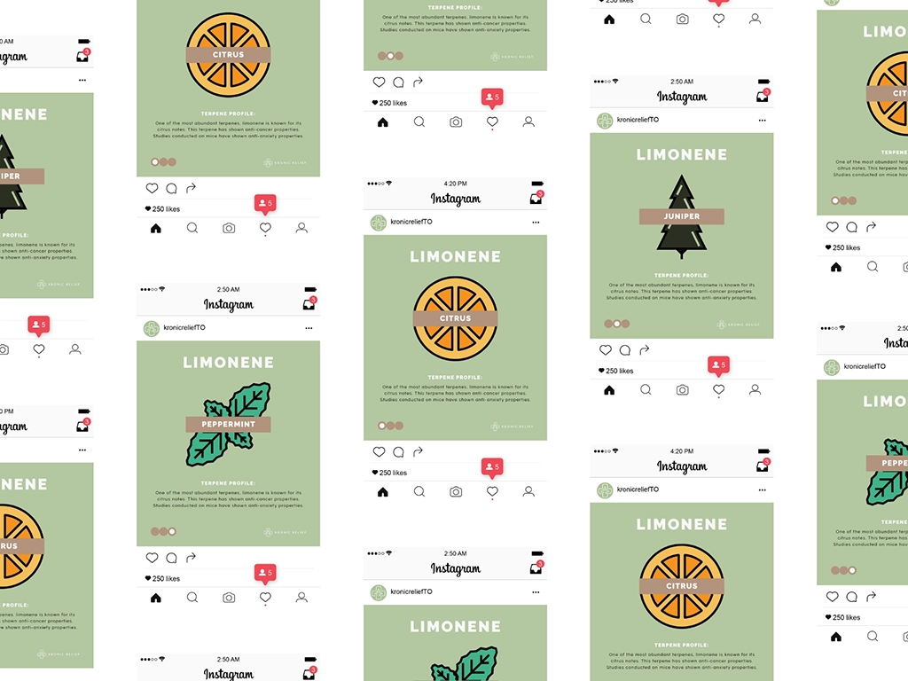 Kronic Relief - Freelance Art Director